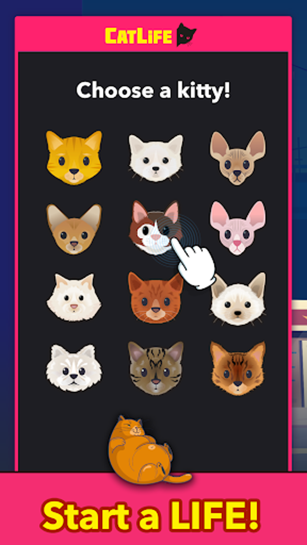 CatLife BitLife Cats APK For Android Download